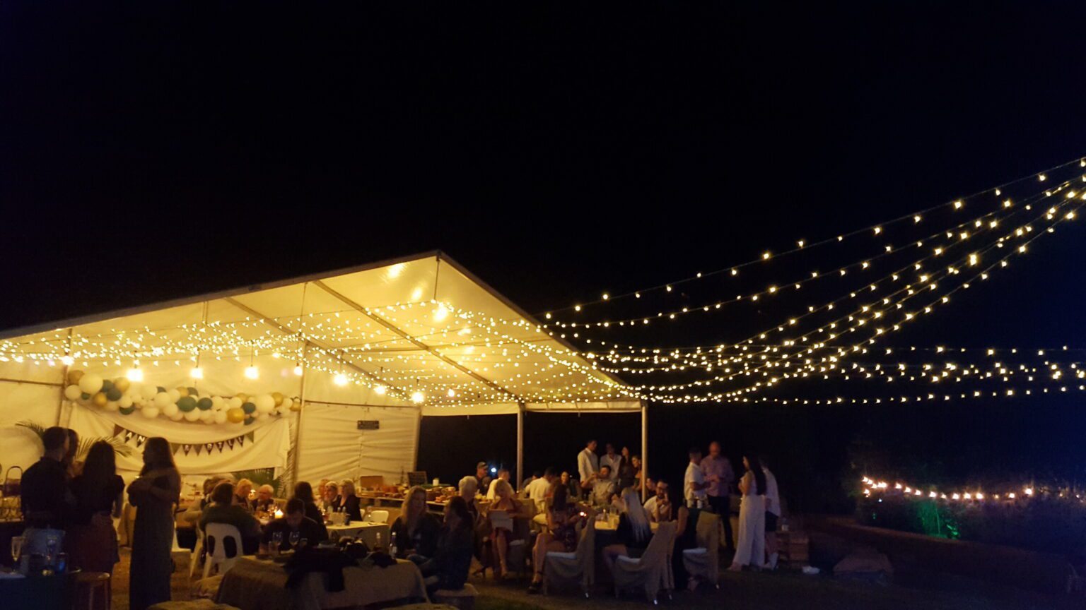 How to Hang Festoon Lights DIY